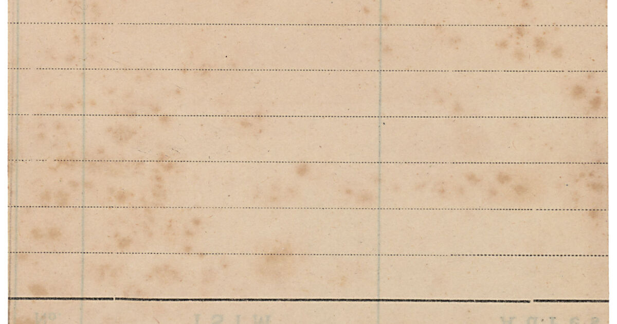 Istanbul Encyclopedia: Note titled "Todori"