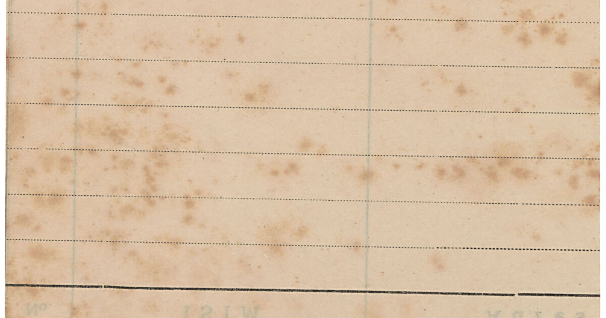 Istanbul Encyclopedia: Note titled "Todori"