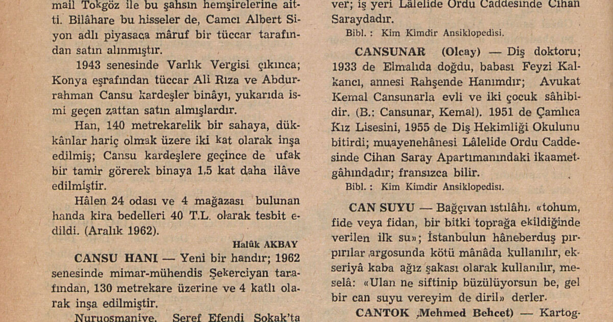 Istanbul Encyclopedia: CANSU HANI