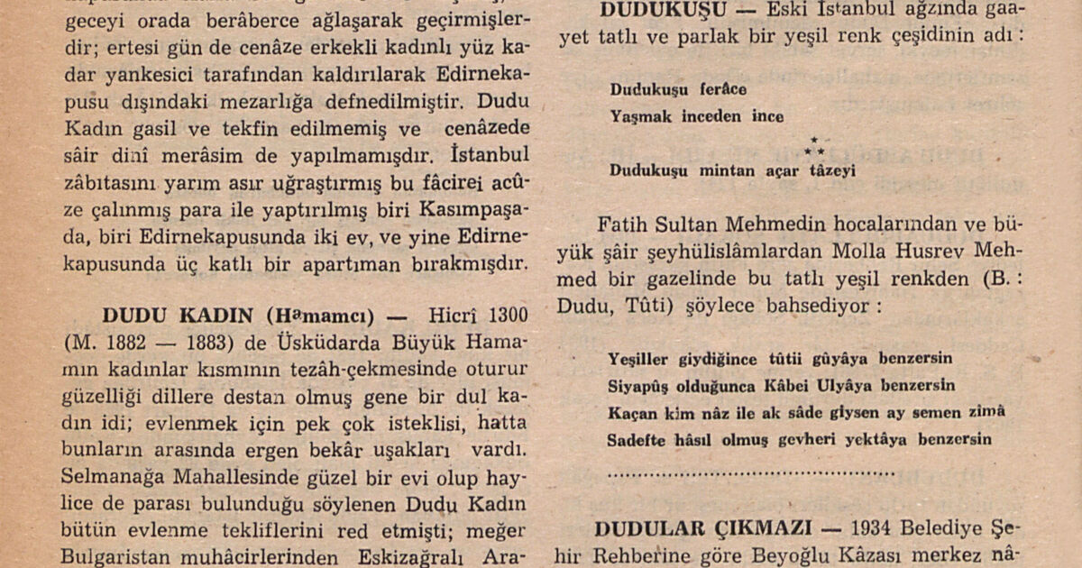 Istanbul Encyclopedia: DUDULLU KÖYÜ