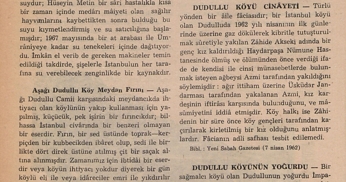 Istanbul Encyclopedia: DUDULLU KÖYÜ CİNÂYETİ